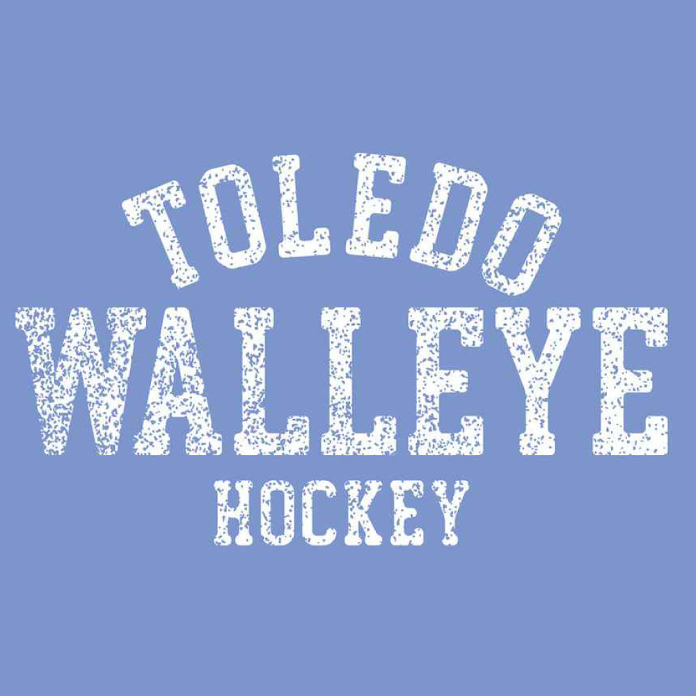 Toledo Walleye Iris Ladies Vintage Full Zip Hood – The Swamp Shop