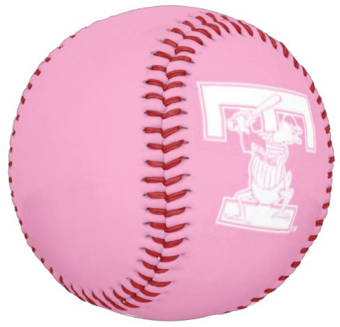 Toledo Mud Hens Pink Logo Baseball – The Swamp Shop